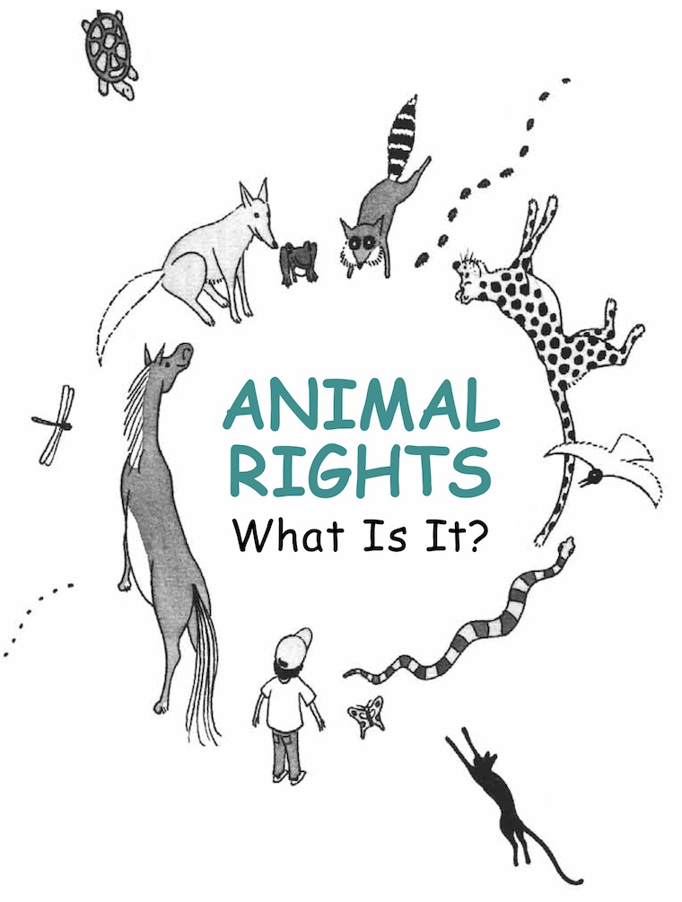 Animal Rights, What Is It?