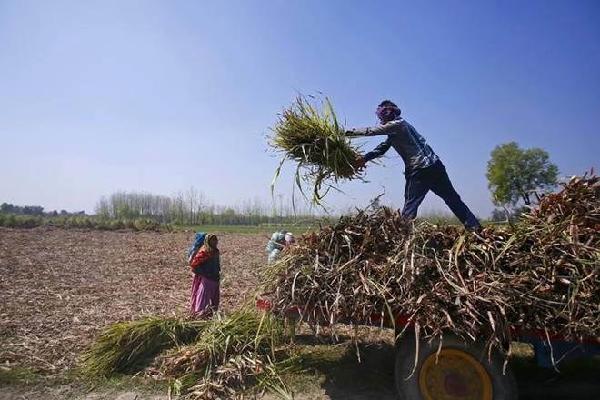 Consolidation Of Land Holdings In Uttar Pradesh: A Look Into The Uttar ...