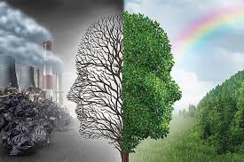 Environmental Degradation and Challenges Faced in 21st Century