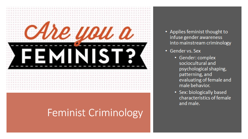 Feminist Criminology: Androcentricity of Criminology, its impacts, and ...