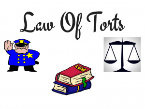 Is It Law of Tort or Law of Torts