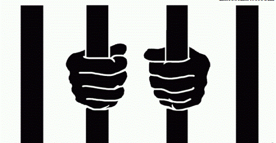 Privatization of Police: A Thoughtful Concept