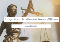 Litigation in IPR Disputes | Legal Service India - Law Articles - Legal ...
