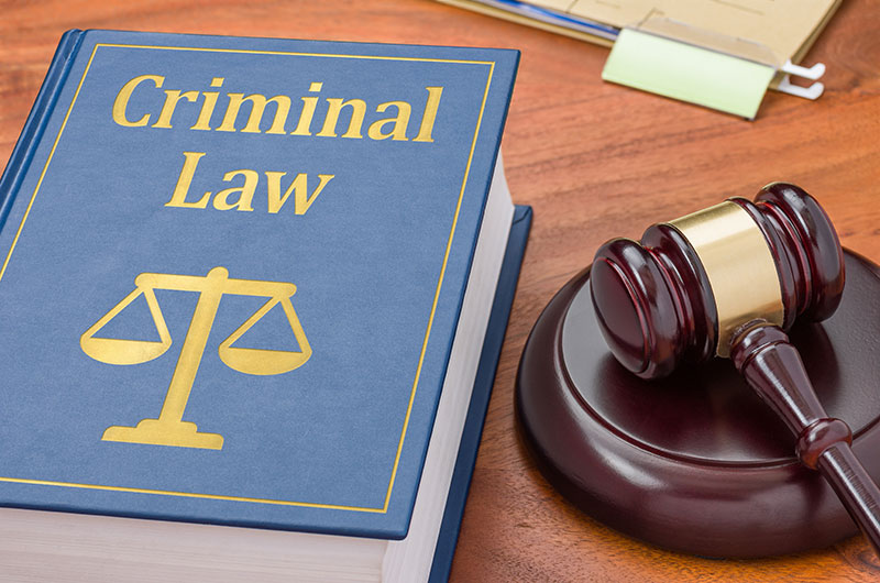 Analysis Of The Offence Of Murder With Relevant Case Laws